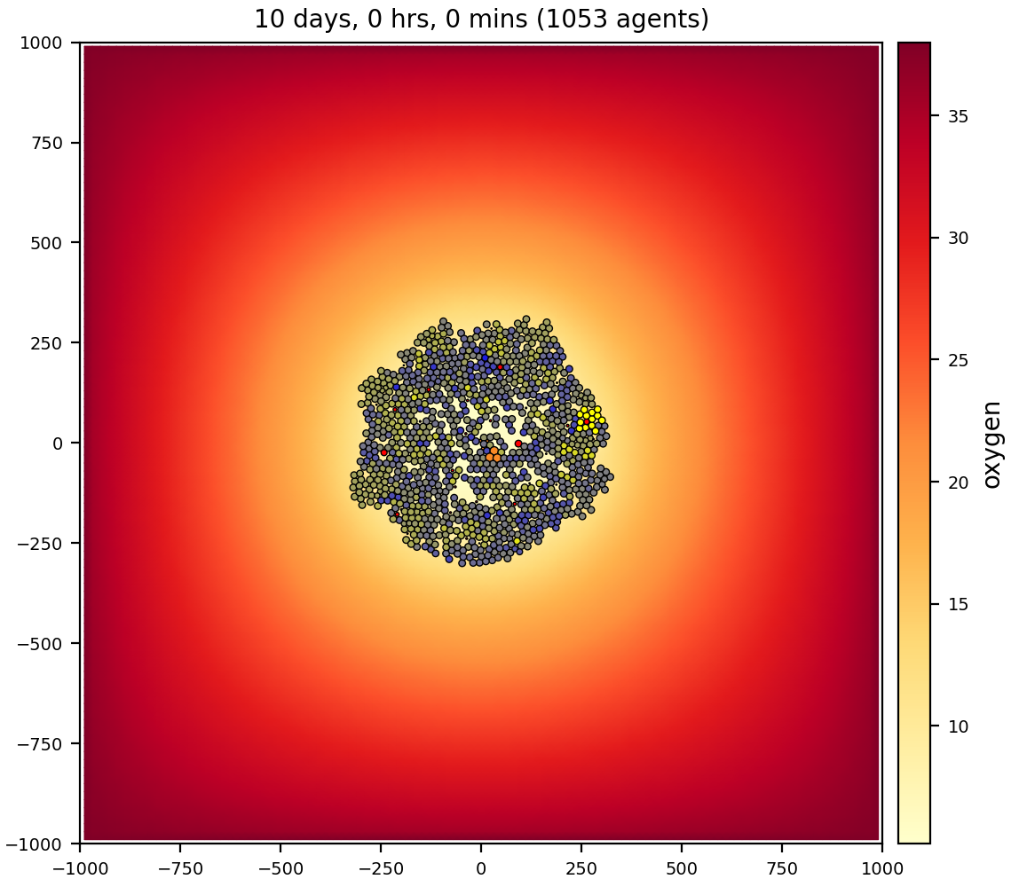 PhysiCell gallery of models