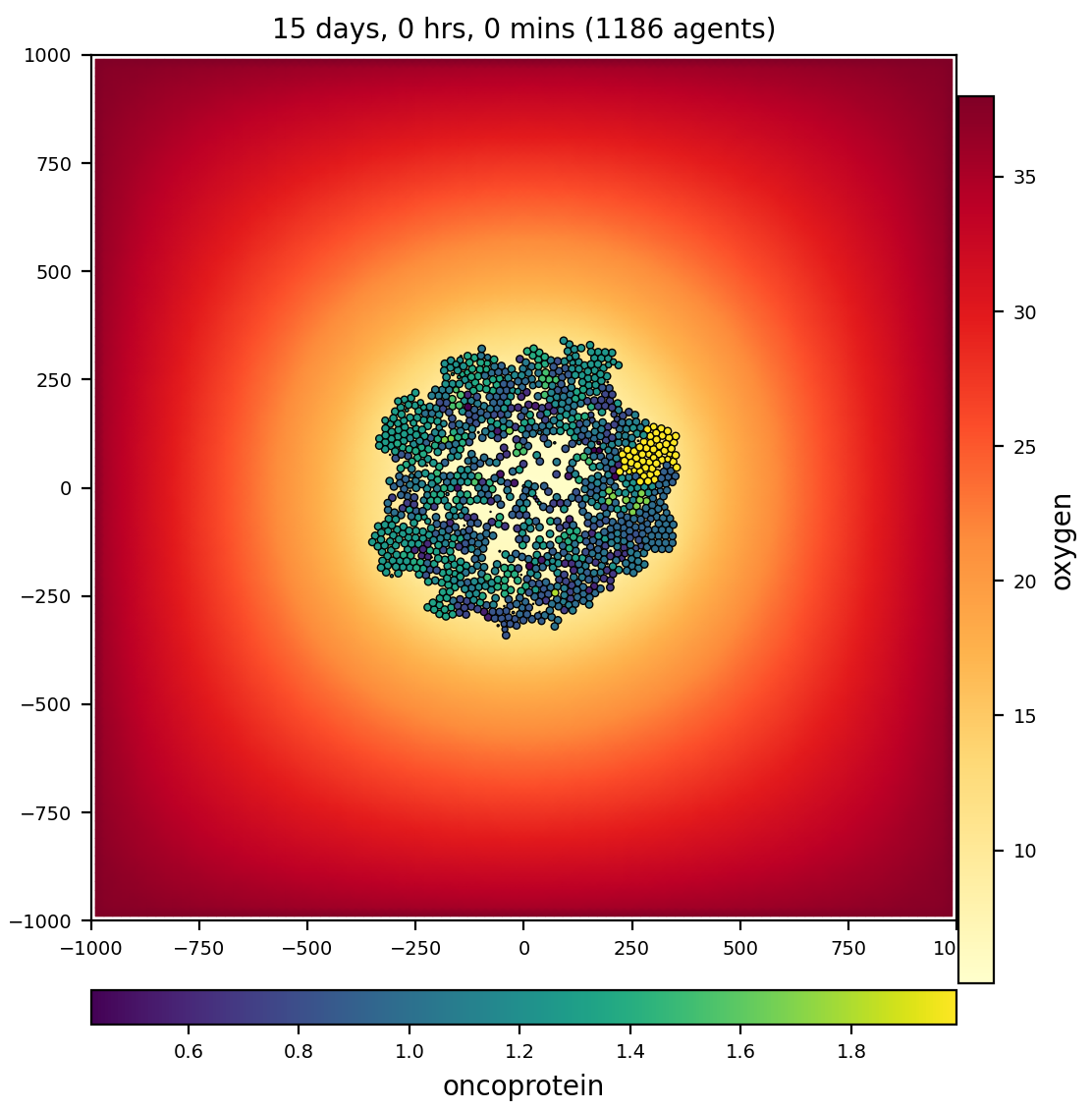 PhysiCell gallery of models
