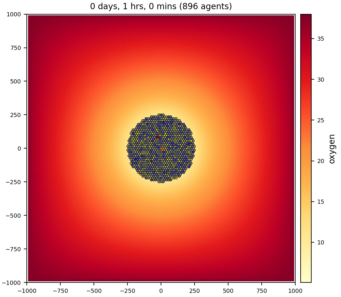 PhysiCell gallery of models