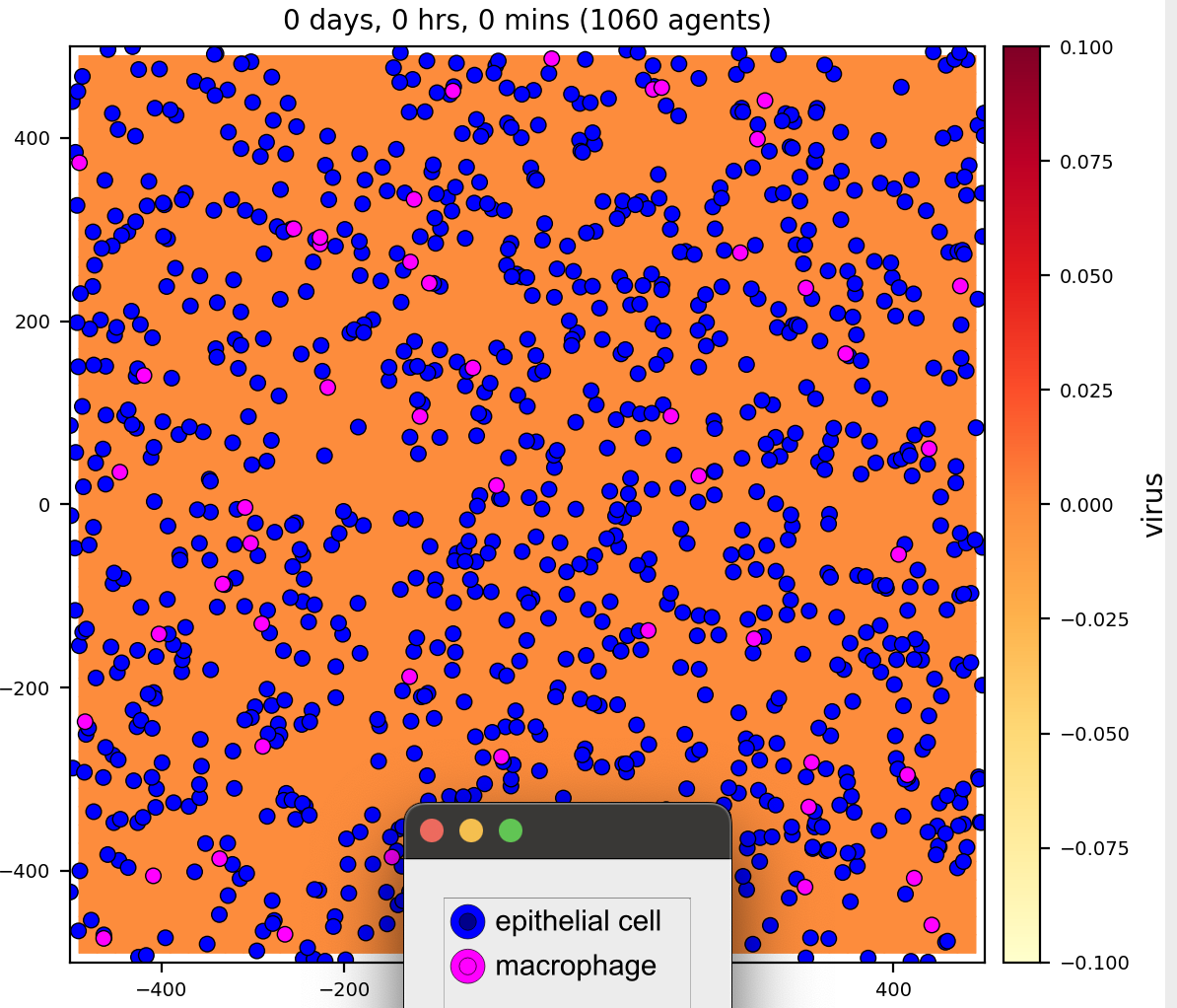 PhysiCell gallery of models